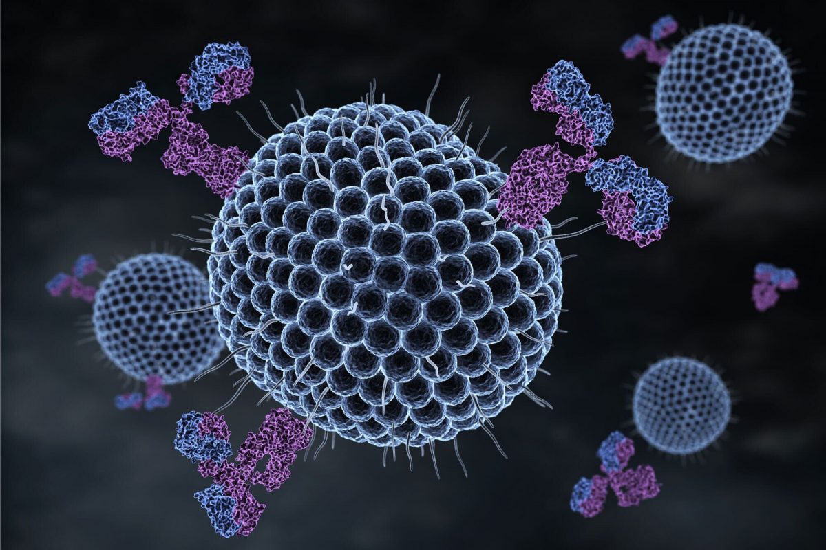 Different Types of Viral Vectors for Gene Delivery and How They Are ...